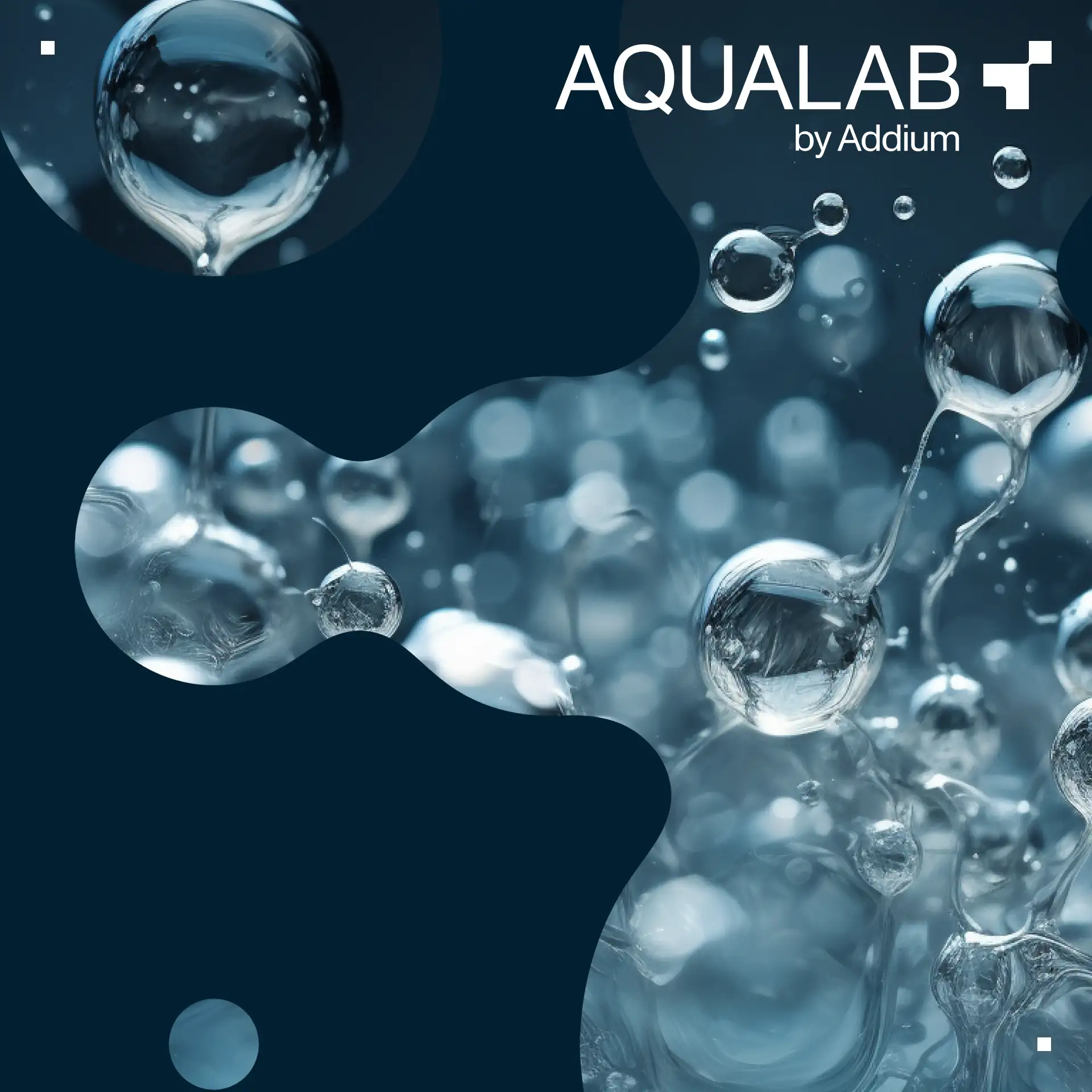 Accept & Proceed · Addium